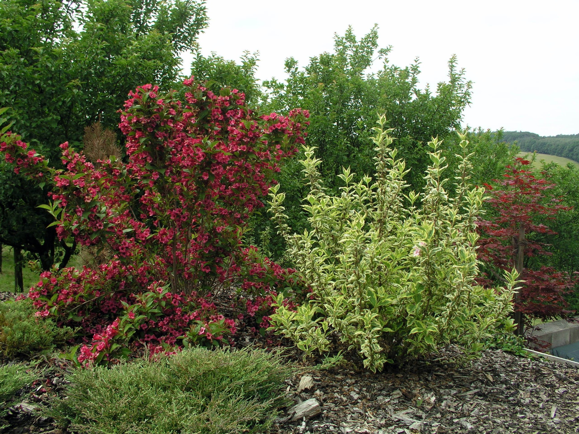 O firmě Erica Garden