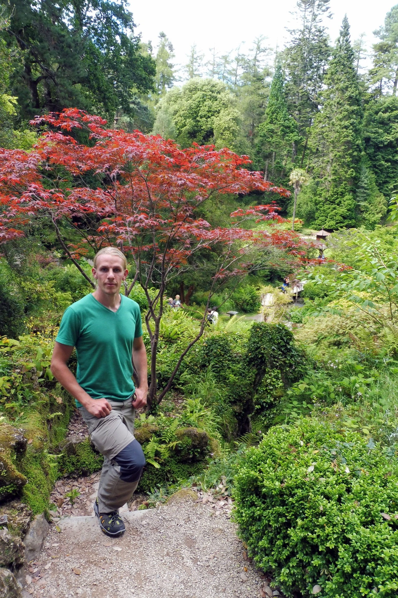 Zlínské zahradnictví Erica Garden