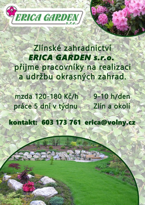Kariéra :: Erica-garden